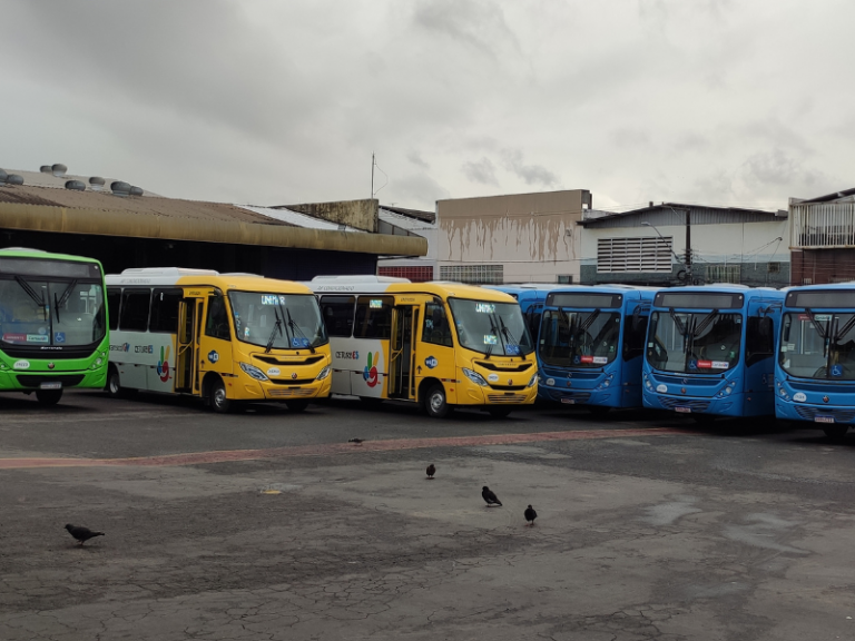 Empresas entregam mais 45 novos ônibus com ar-condicionado para ...