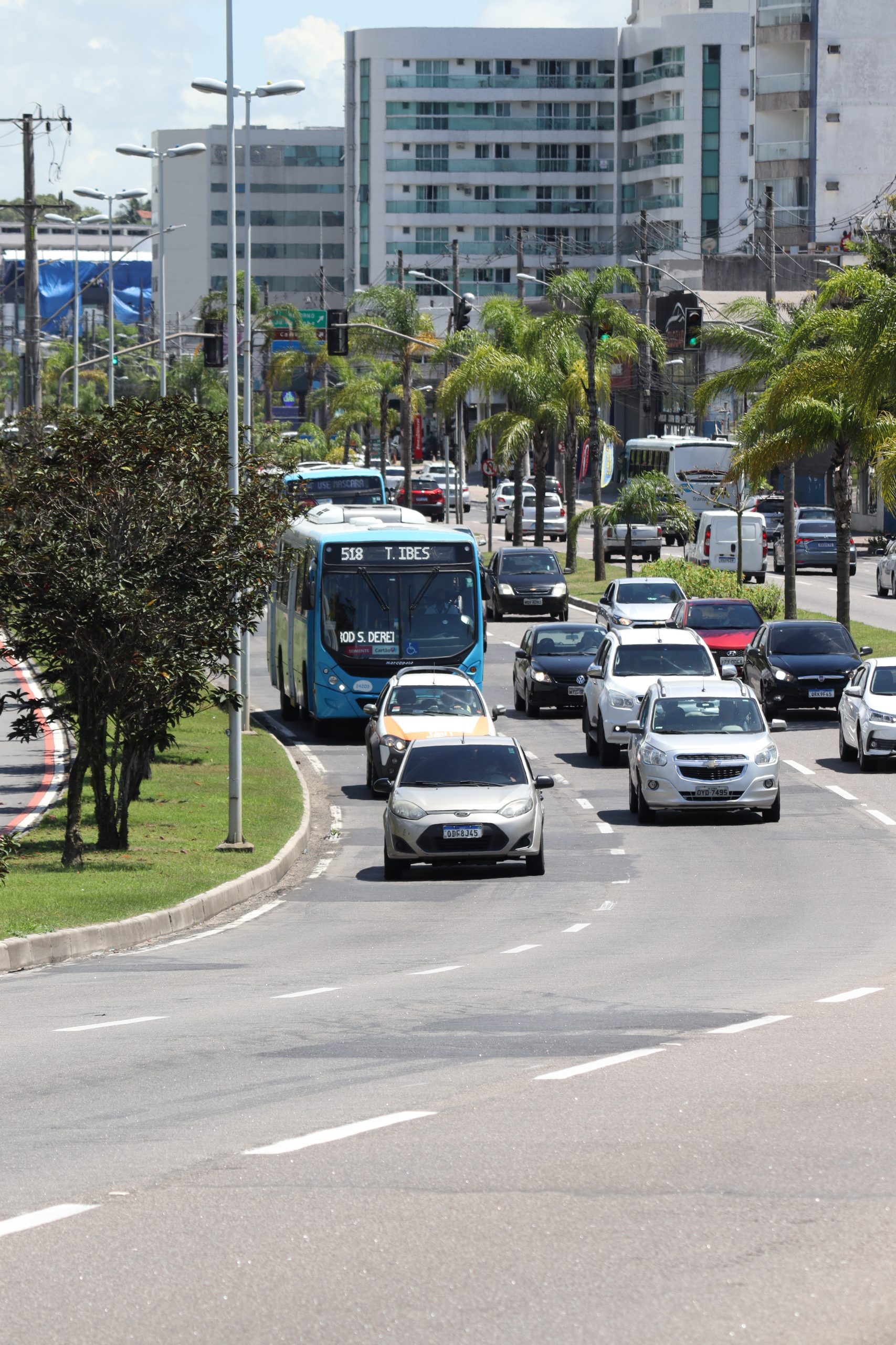Transcol Essencial: promovendo saúde, diversidade e sustentabilidade ...